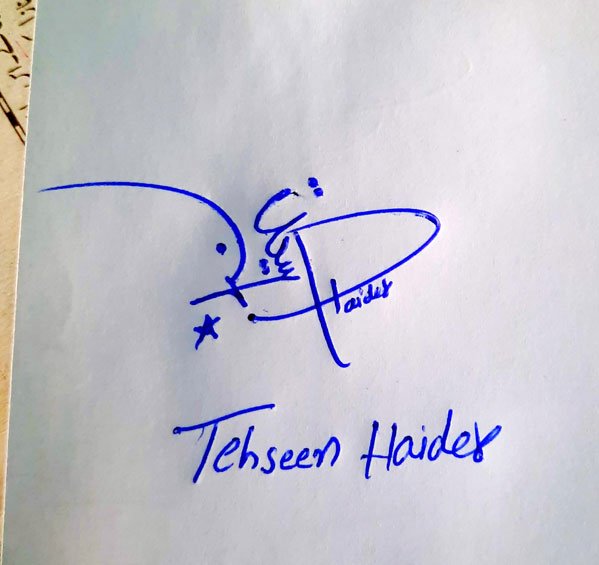 Tehseen Haider Name Online Signature Styles - Signature Ideas